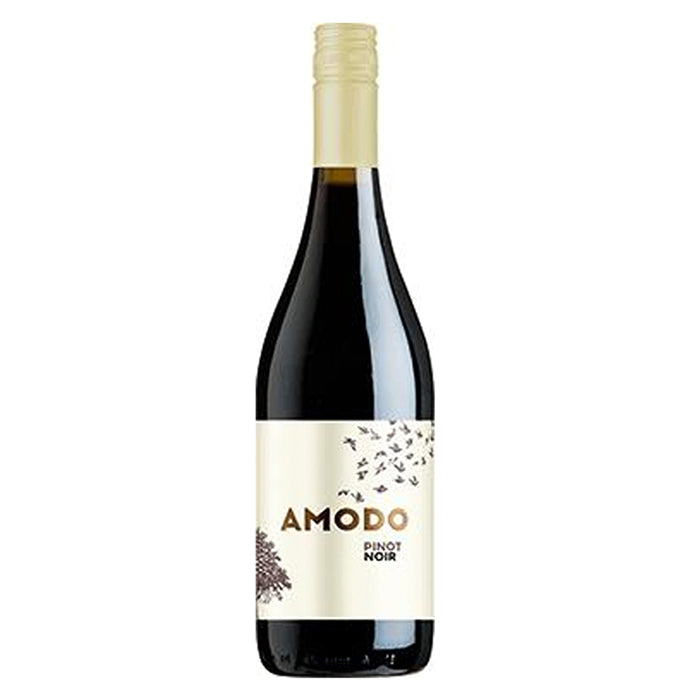 AMODO Pinot Noir, Pavia | Valentina Deli